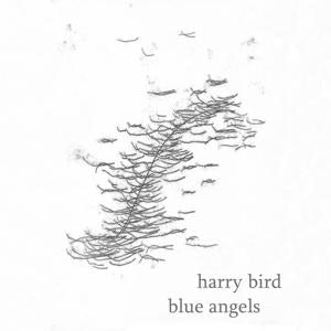 Harry Bird Store: Official Merch & Vinyl