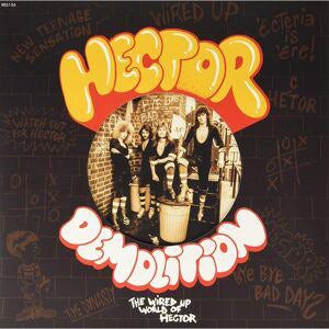 Hector Store: Official Merch & Vinyl