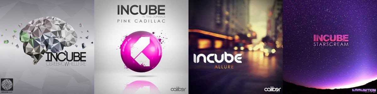 Incube Store: Official Merch & Vinyl