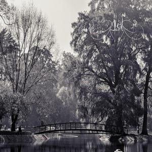 Isil Store: Official Merch & Vinyl