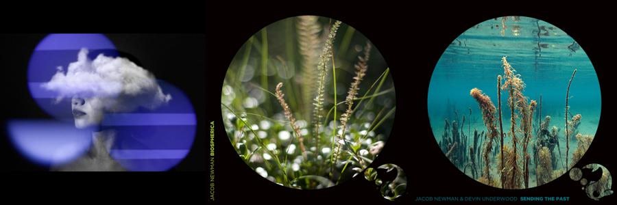 Jacob Newman Store: Official Merch & Vinyl