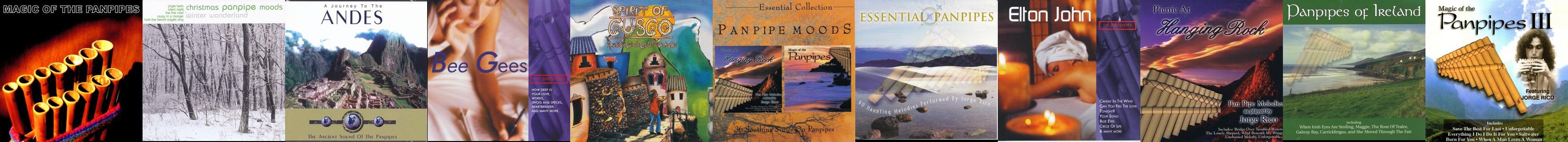 Jorge Rico Store: Official Merch & Vinyl