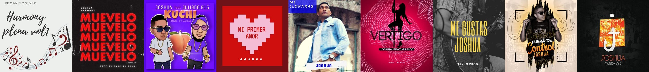 Joshua Store: Official Merch & Vinyl