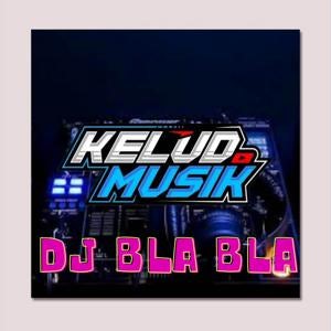 Kelud Music Store: Official Merch & Vinyl