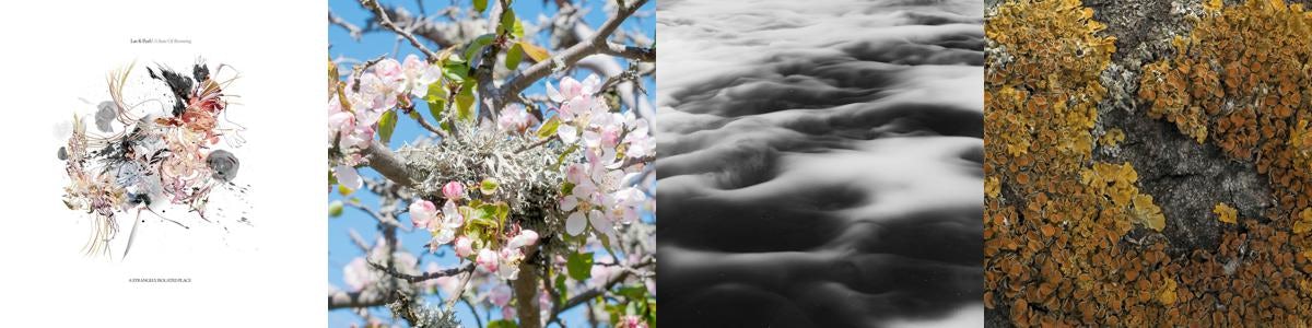 LAV Store: Official Merch & Vinyl