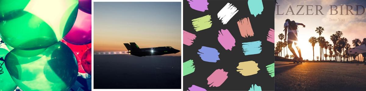 LAZER BIRD Store: Official Merch & Vinyl