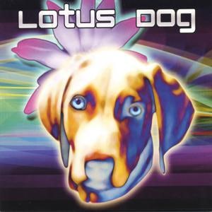 Lotus Dog Store: Official Merch & Vinyl