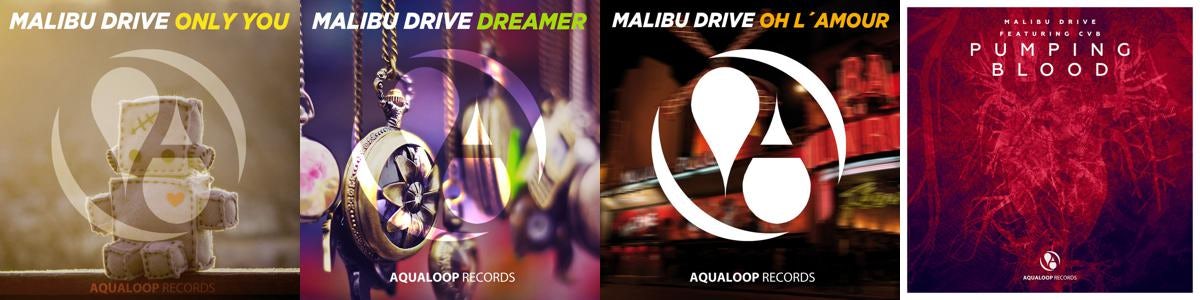 Malibu Drive Store: Official Merch & Vinyl