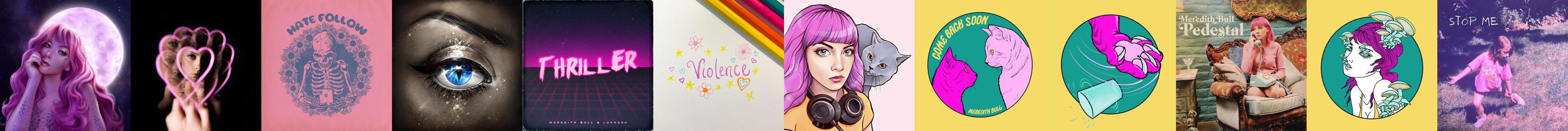 Meredith Bull Store: Official Merch & Vinyl