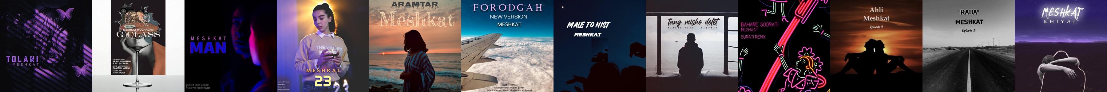 Meshkat Store: Official Merch & Vinyl