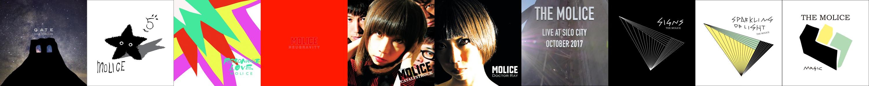 Molice Store: Official Merch & Vinyl