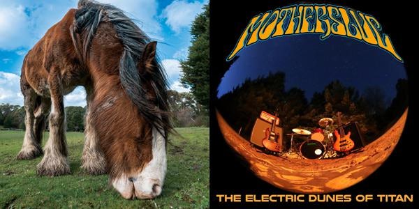 Motherslug Store: Official Merch & Vinyl