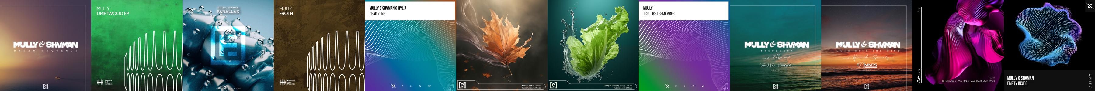 Mully Store: Official Merch & Vinyl