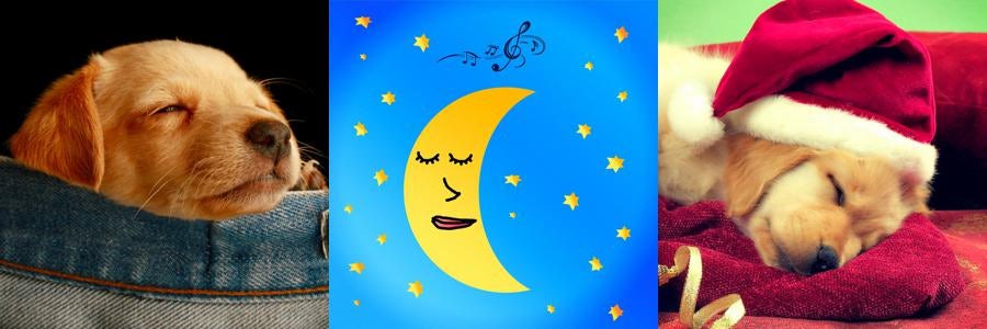 Music Box Carillon Store: Official Merch & Vinyl