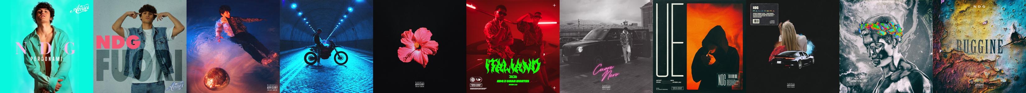 NDG Store: Official Merch & Vinyl