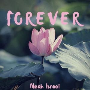 Neah Israel Store: Official Merch & Vinyl