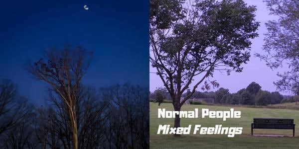 Normal People Store: Official Merch & Vinyl