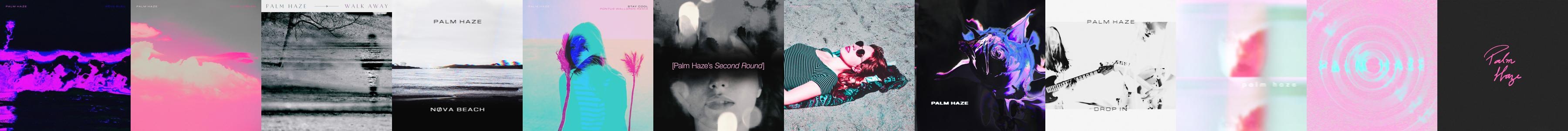 Palm Haze Store: Official Merch & Vinyl