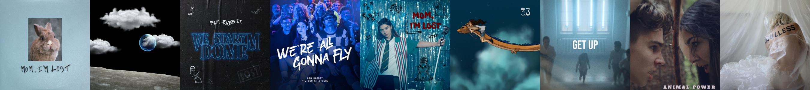 Pam Rabbit Store: Official Merch & Vinyl