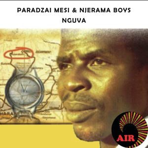 Paradzai Mesi & Njerama Boys Store: Official Merch & Vinyl