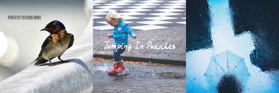 Perfectly Splendid Store: Official Merch & Vinyl