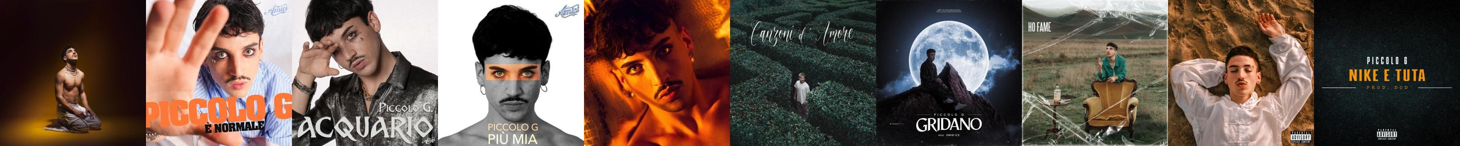 Piccolo G Store: Official Merch & Vinyl