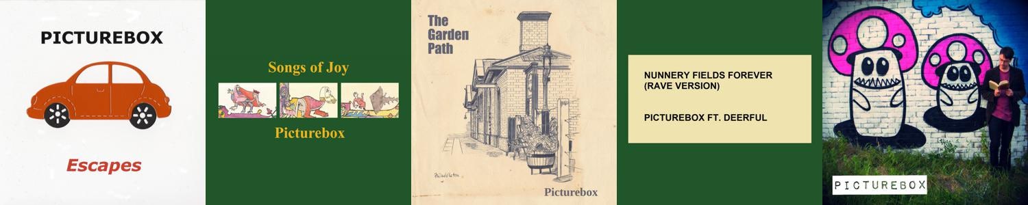 Picturebox Store: Official Merch & Vinyl