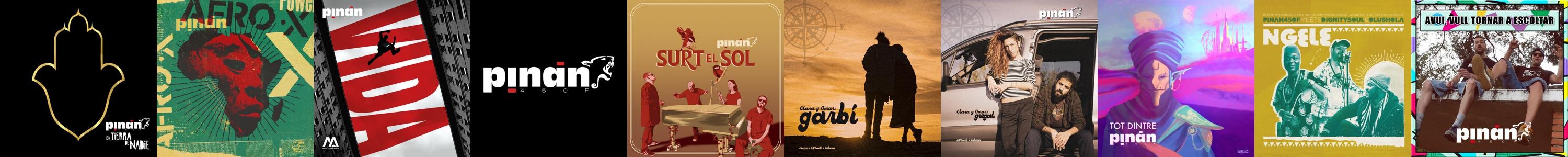 Pinan 450f Store: Official Merch & Vinyl
