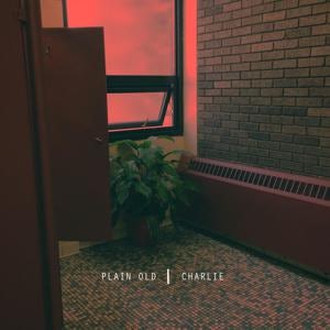 Plain Old Store: Official Merch & Vinyl