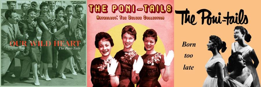 The Poni-Tails Store: Official Merch & Vinyl