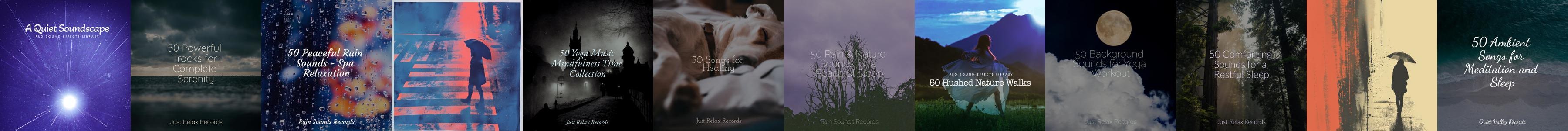 Pro Sound Effects Library Store: Official Merch & Vinyl