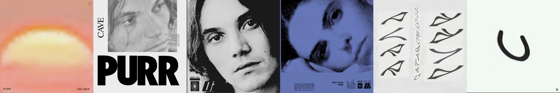 Purr Shirts, Purr Merch, Purr Hoodies, Purr Vinyl Records, Purr Posters ...