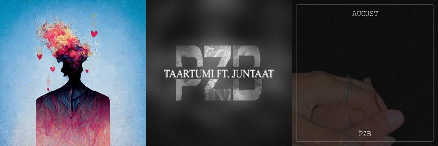 PZB Store: Official Merch & Vinyl