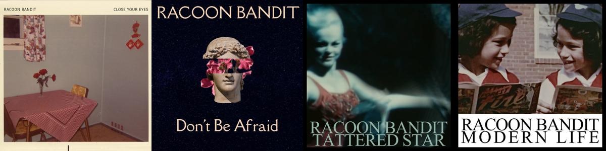 Racoon Bandit Store: Official Merch & Vinyl