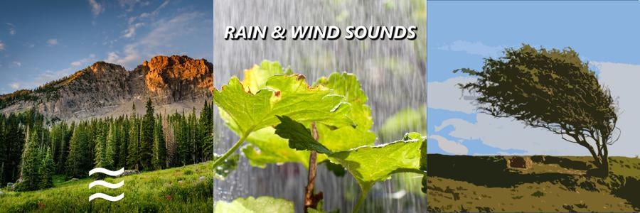 Rain And Wind Sounds Store: Official Merch & Vinyl