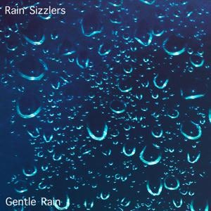 Rain Sizzlers Store: Official Merch & Vinyl
