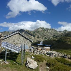 Ray Bennett Store: Official Merch & Vinyl