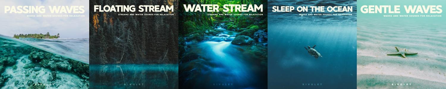 Rivulet Store: Official Merch & Vinyl