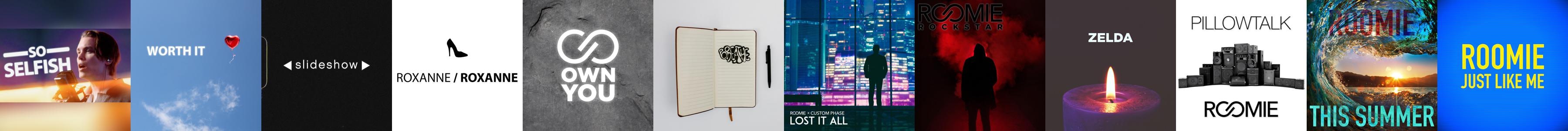 Roomie Store: Official Merch & Vinyl