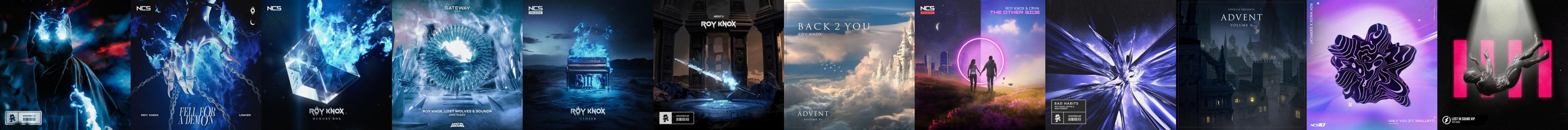 ROY KNOX Store: Official Merch & Vinyl