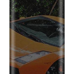 Sakes Alive!! Store: Official Merch & Vinyl