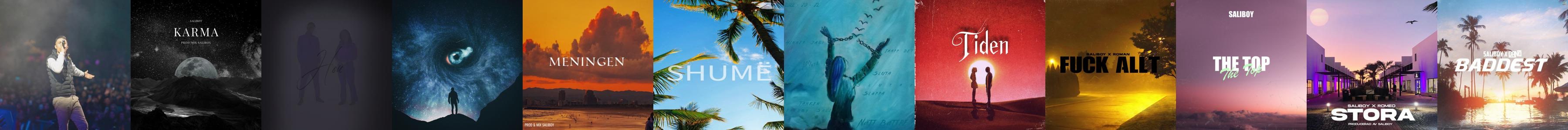 Saliboy Store: Official Merch & Vinyl