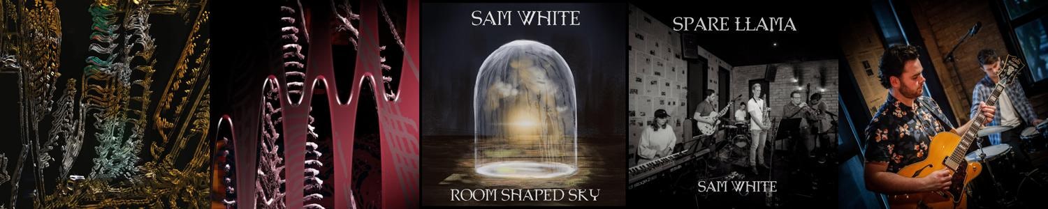 Sam White Store: Official Merch & Vinyl