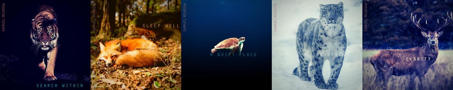 Samuel Meadow Store: Official Merch & Vinyl