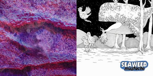 Seaweed Mustache Store: Official Merch & Vinyl