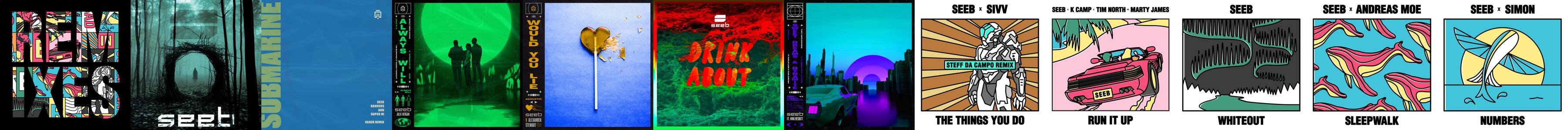 Seeb Store: Official Merch & Vinyl