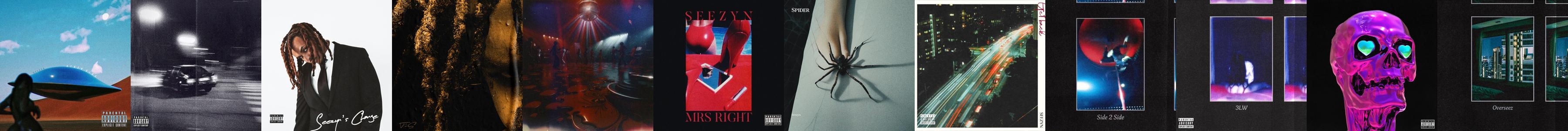 Seezyn Store: Official Merch & Vinyl