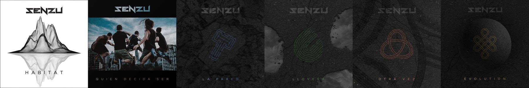 Senzu Store: Official Merch & Vinyl