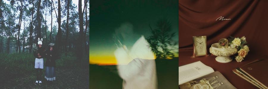 Shewn Store: Official Merch & Vinyl