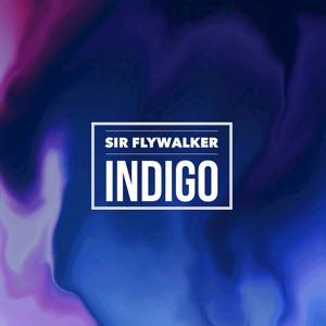 Sir Flywalker Store: Official Merch & Vinyl